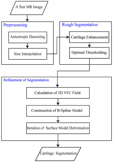 Vector Field Convolution-Based B-Spline Deformation Model for 3D Segmentation of Cartilage in MRI