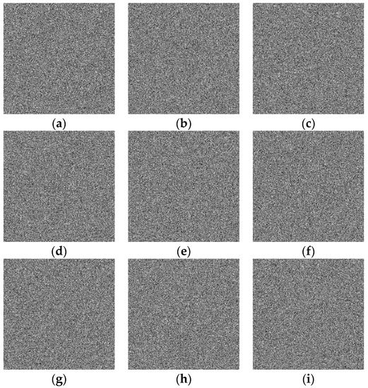 Symmetry Free Full Text Multiple Image Encryption Algorithm Based 7505