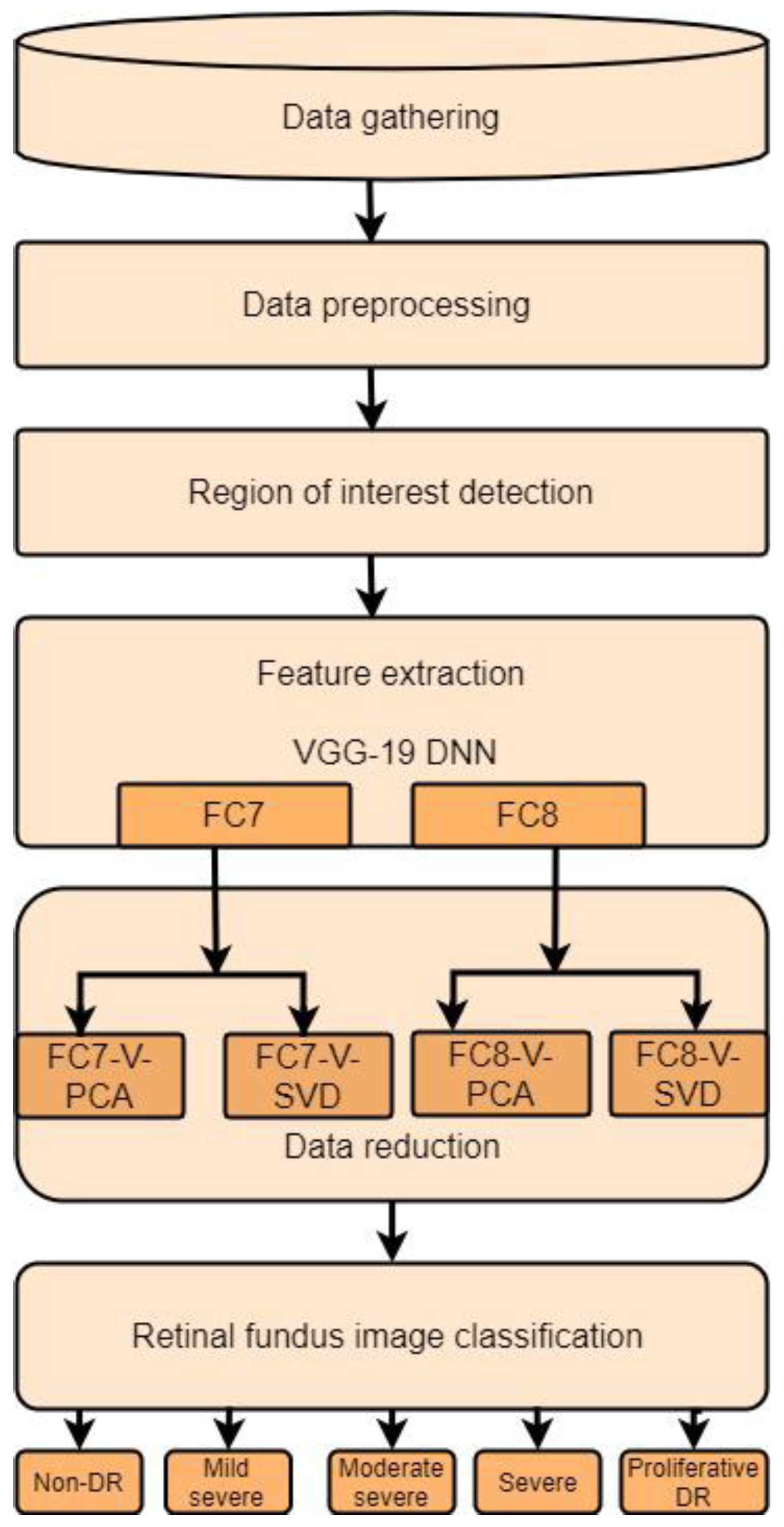 Symmetry | Free Full-Text | Fundus Image Classification Using VGG-19 ...