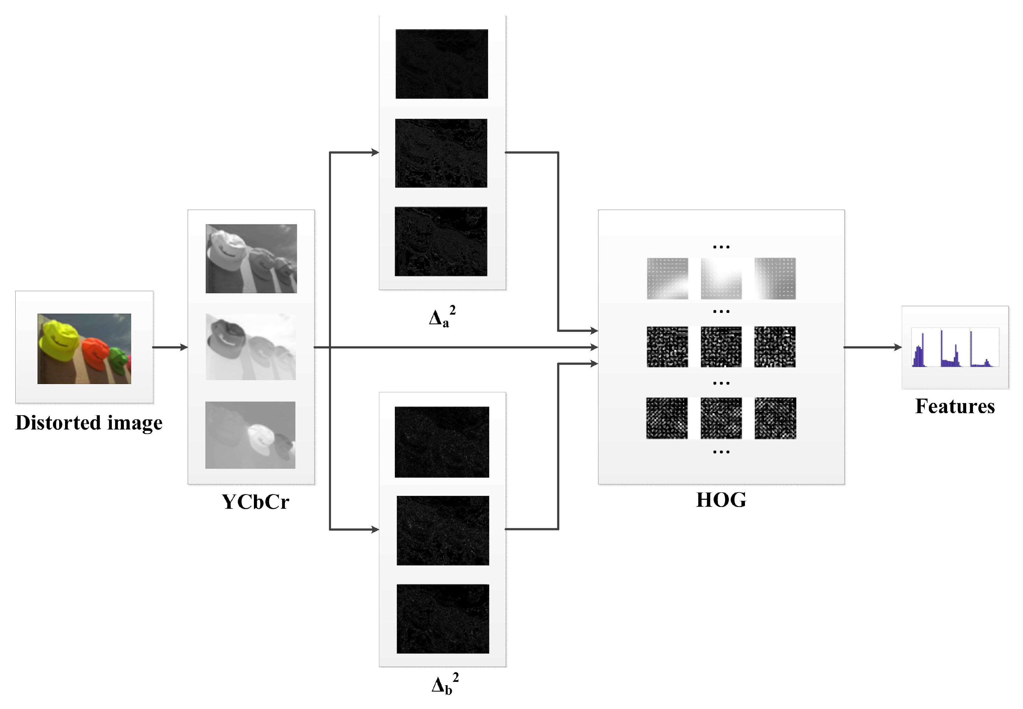 No-Reference Image Quality Assessment with Local Gradient Orientations