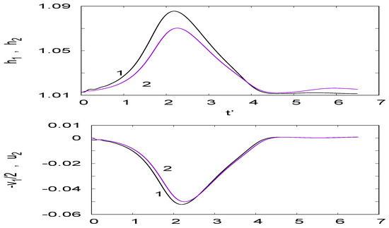 Symmetry Special Issue Symmetries Of Nonlinear Pdes On Metric Graphs And Branched Networks
