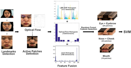 An Improved Micro-Expression Recognition Method Based on Necessary Morphological Patches