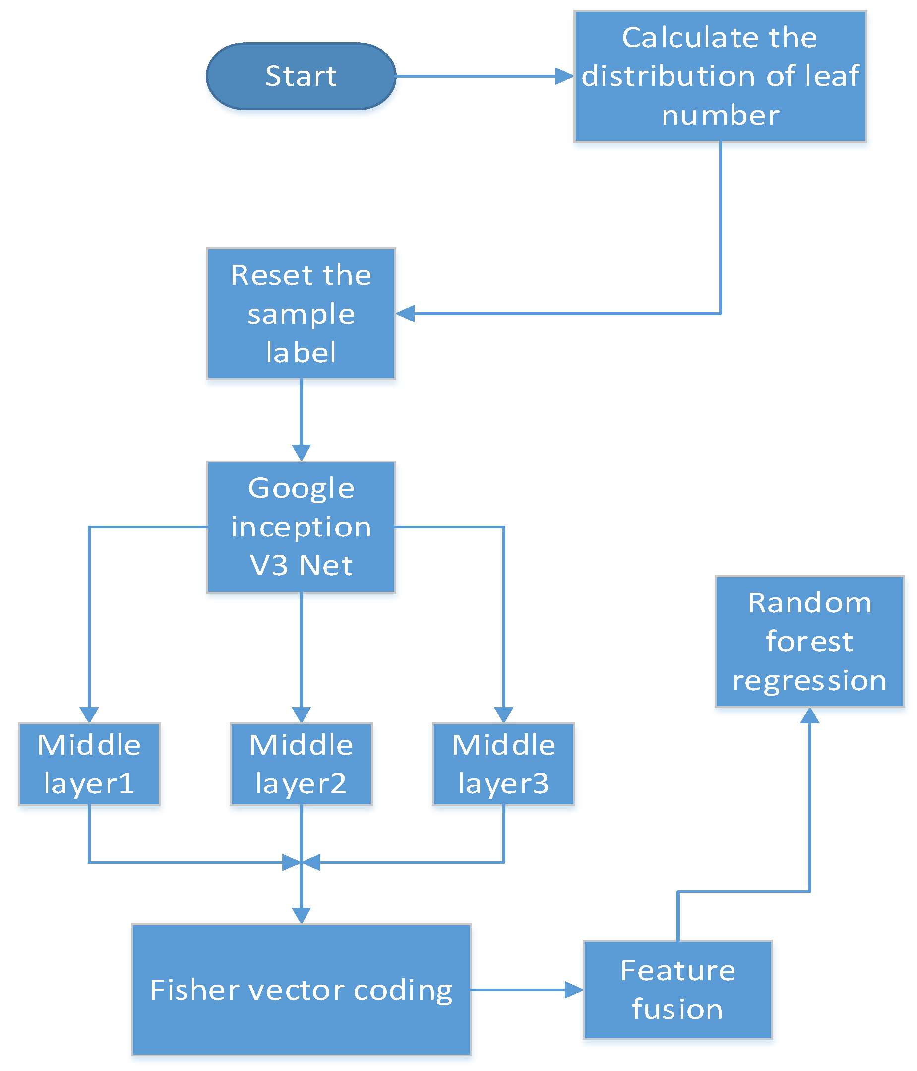 Leaf Counting with Multi-Scale Convolutional Neural Network Features ...