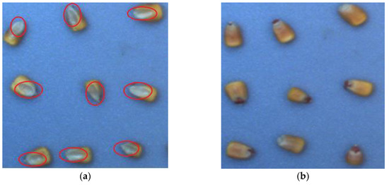 Corn Classification System based on Computer Vision