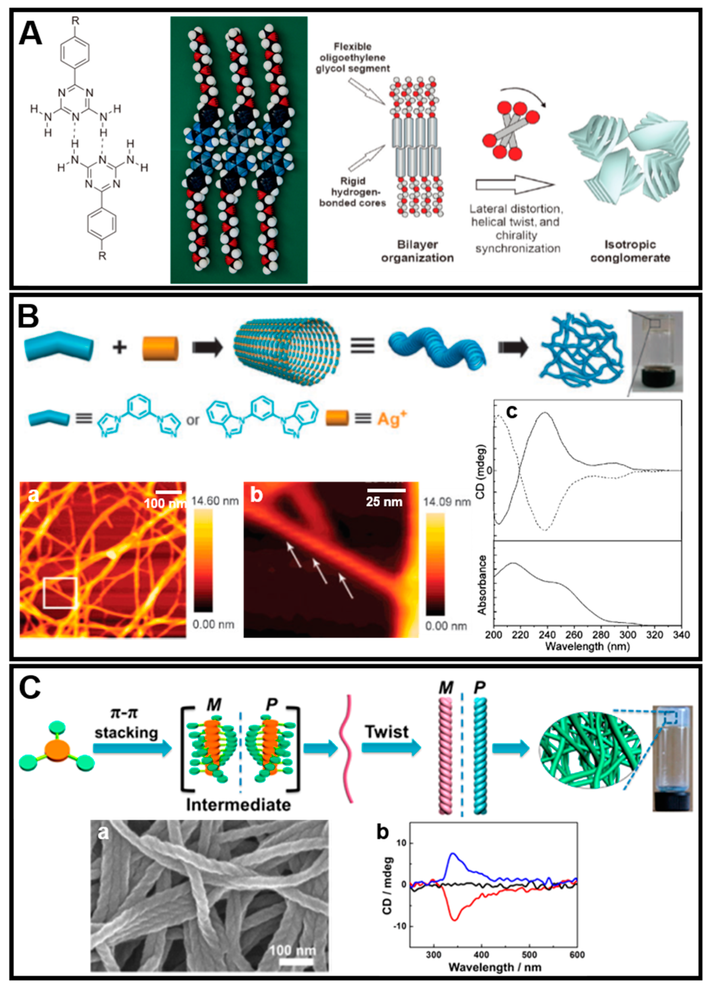Symmetry | Free Full-Text | Symmetry Breaking in Self-Assembled ...