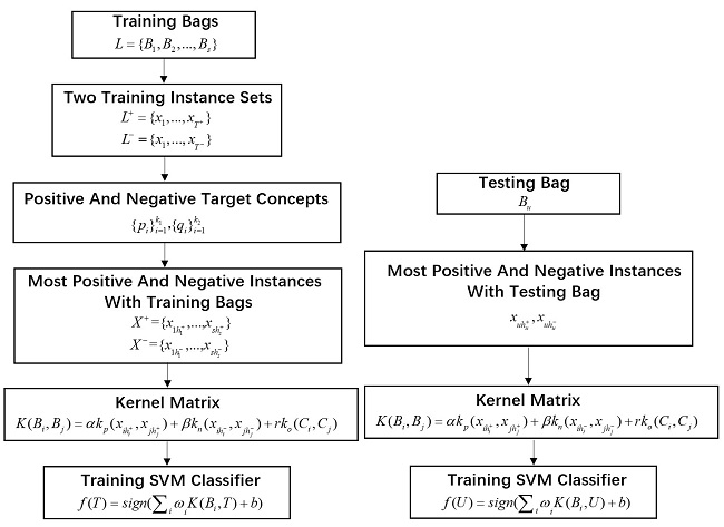 Symmetry | Free Full-Text | MILDMS: Multiple Instance Learning via DD ...