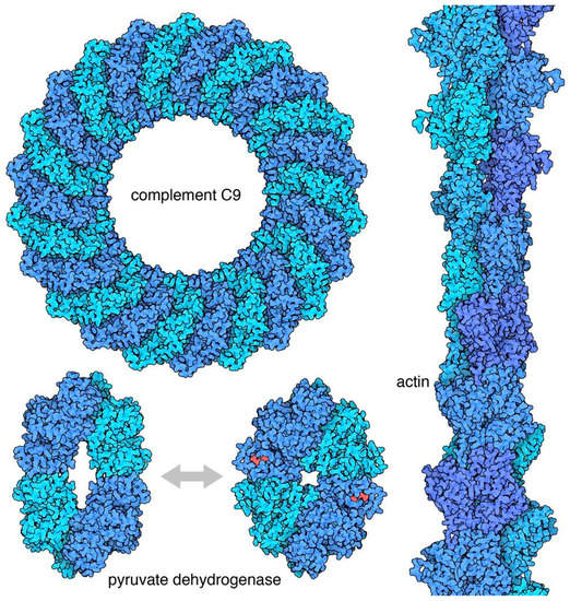 Symmetry | Special Issue : Symmetry in Molecular Biology