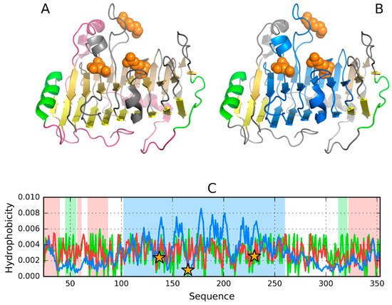 Symmetry | Special Issue : Symmetry in Protein Structure and Bioinformatics