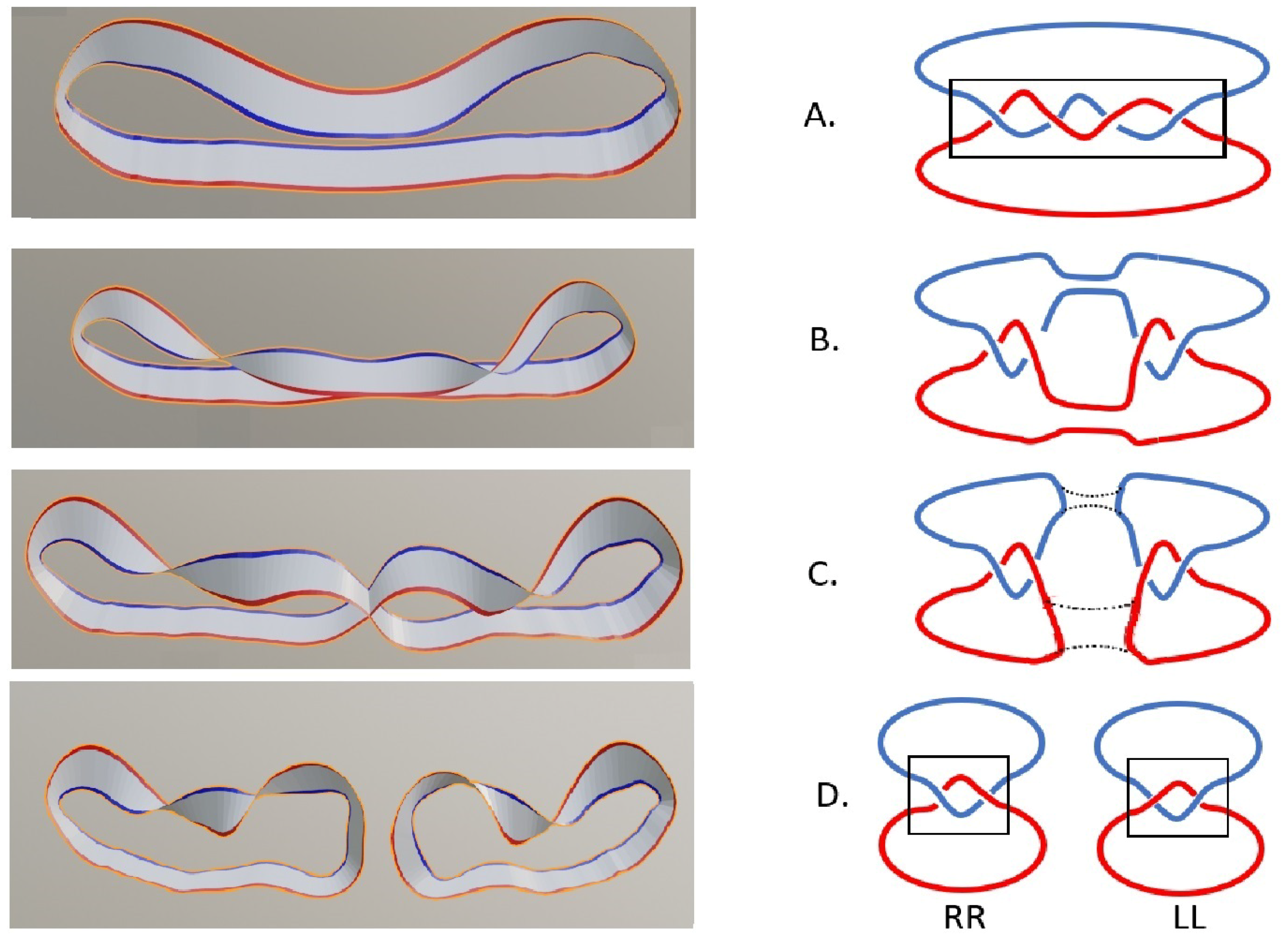 Symmetry | Free Full-Text | A Haptic Model of Entanglement, Gauge ...