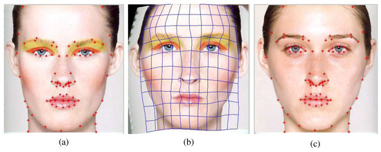 Makeup Interpolation Based on Color and Shape Parametrization