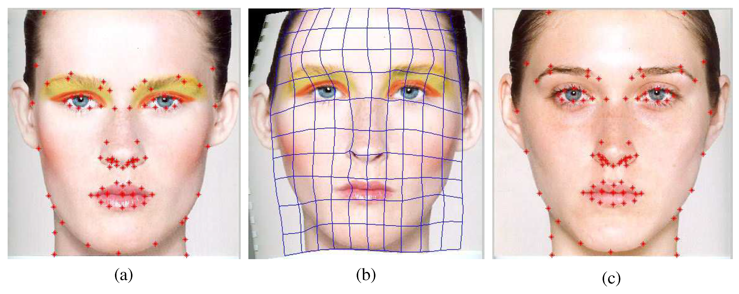 Makeup Interpolation Based on Color and Shape Parametrization