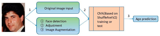 Face Image Age Estimation Based on Data Augmentation and Lightweight ...