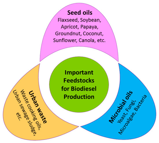 Advances in Nanocatalysts Mediated Biodiesel Production: A Critical ...