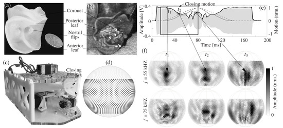 Differential Entropy Analysis of the Acoustic Characteristics of a ...