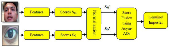 Combining Multiple Biometric Traits Using Asymmetric Aggregation ...