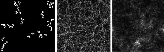 Symmetry | Free Full-Text | Scale Symmetry in the Universe