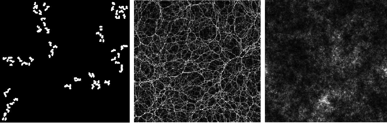 Symmetry | Free Full-Text | Scale Symmetry in the Universe