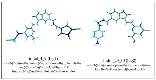 The Immobilization of Oxindole Derivatives Using New Designed ...