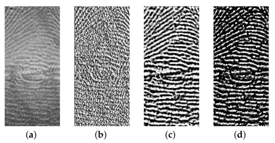 Feature-Level Fusion of Finger Vein and Fingerprint Based on a Single ...