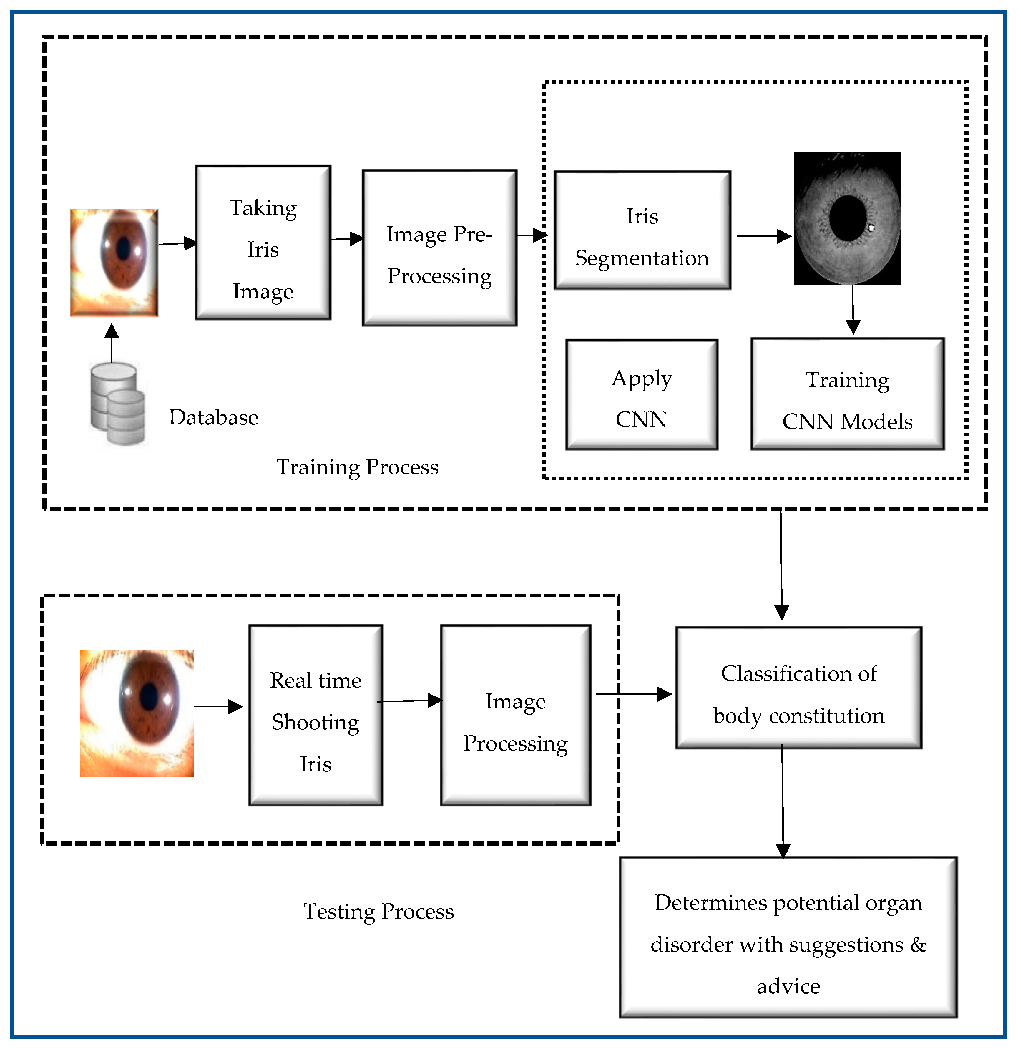 Symmetry | Free Full-Text | Classification of Body Constitution Based ...