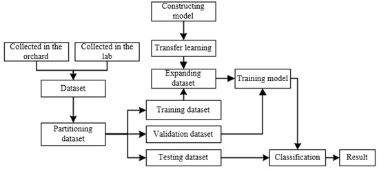 Symmetry | Free Full-Text | Identification of Apple Tree Leaf Diseases ...