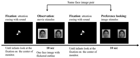 Face Preference in Infants at Six and Nine Months Old: The Effects of ...