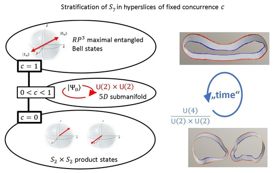 Symmetry | Special Issue : The Importance of Being Symmetrical