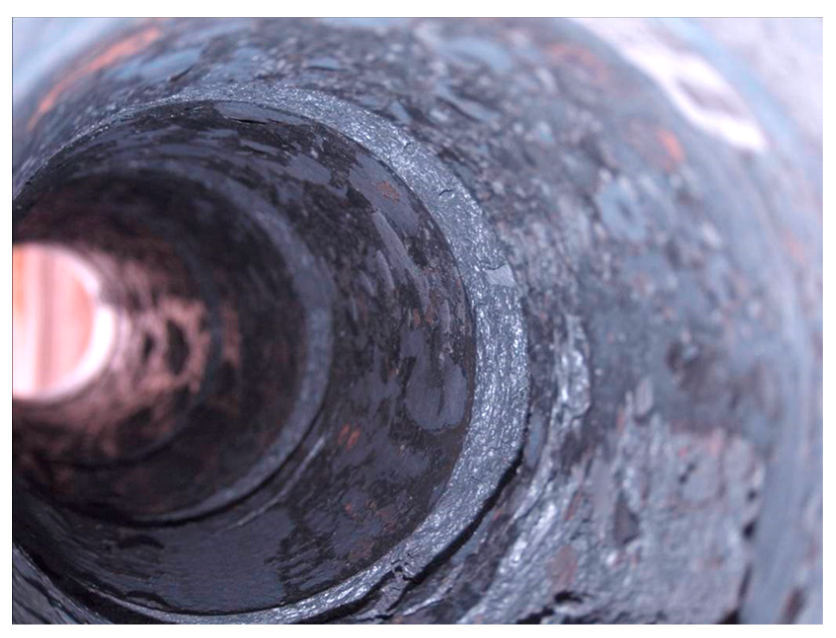 Close Up Pics Level 12