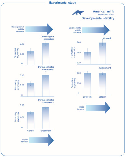 Symmetry | Free Full-Text | Fluctuating Asymmetry, Developmental Noise ...