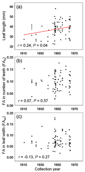 Symmetry Free Full Text Variation In Leaf Size And Fluctuating