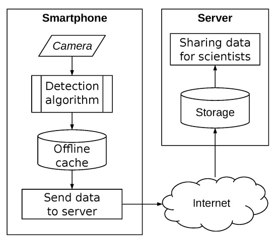 Towards A Global Cosmic Ray Sensor Network: CREDO Detector as the First ...