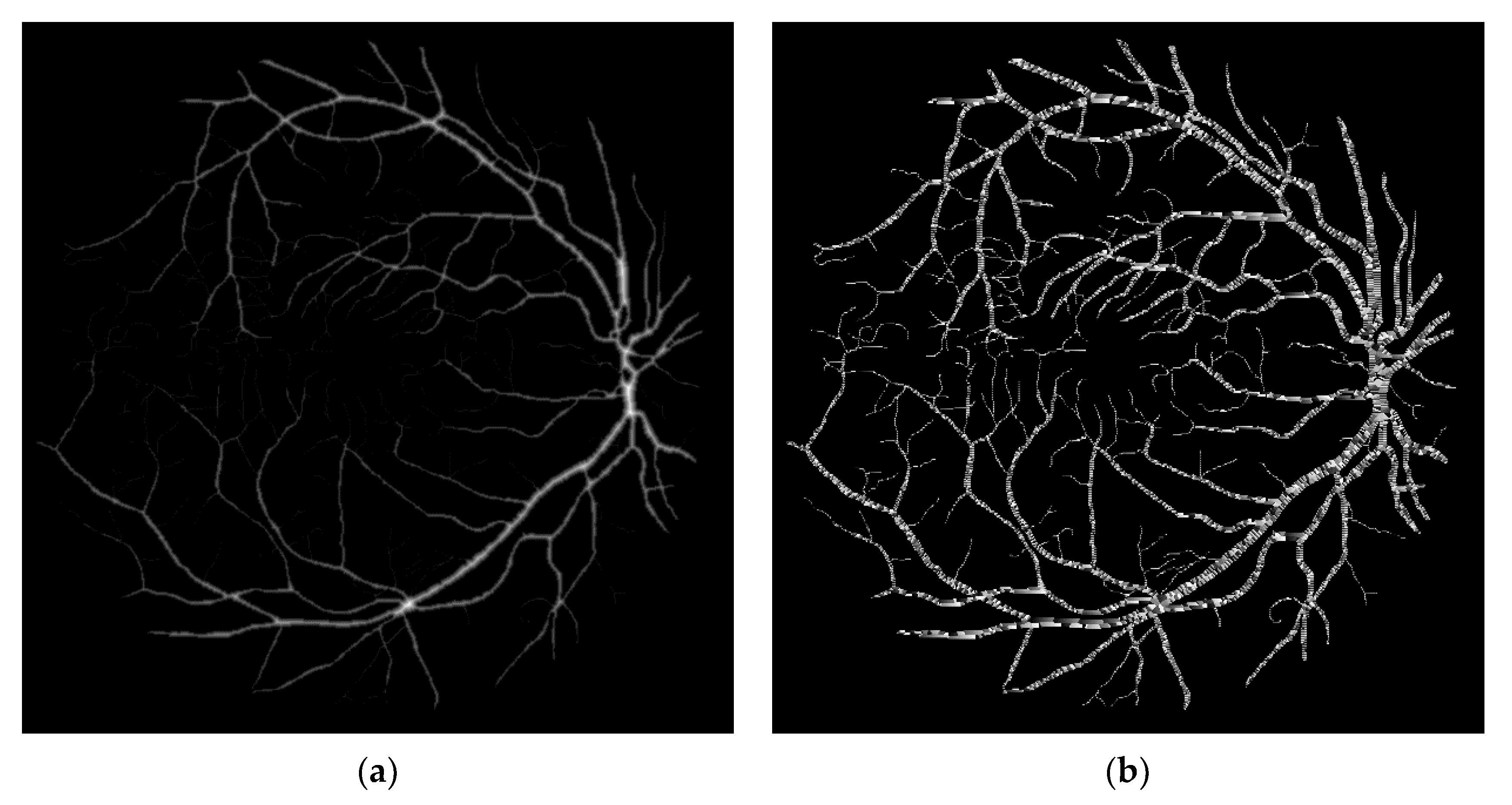 Parallel Raster Scan for Euclidean Distance Transform