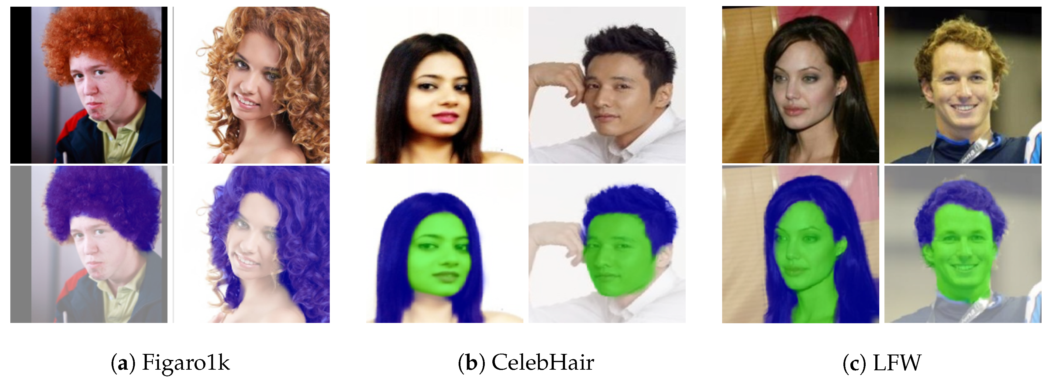 HLNet: A Unified Framework for Real-Time Segmentation and Facial Skin ...