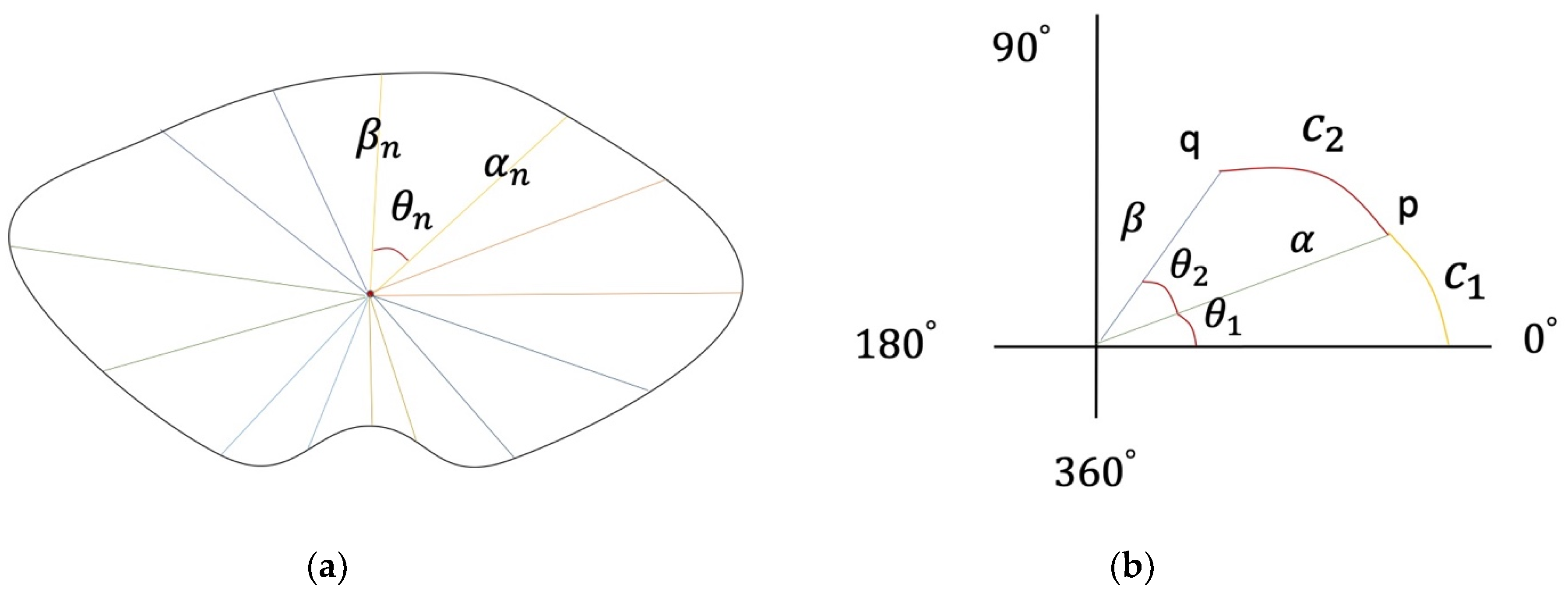 Anthropometric Landmarks Extraction and Dimensions Measurement Based on ...