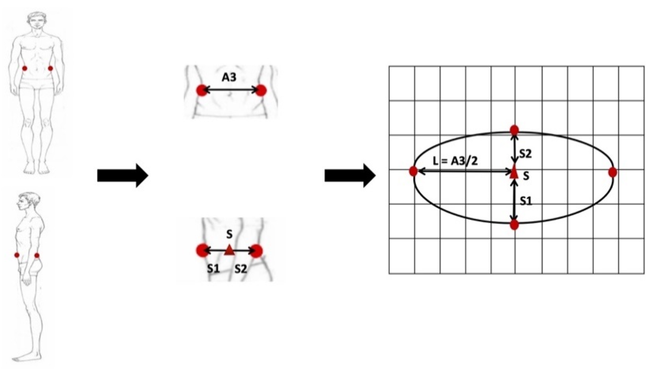 Anthropometric Landmarks Extraction and Dimensions Measurement Based on ...