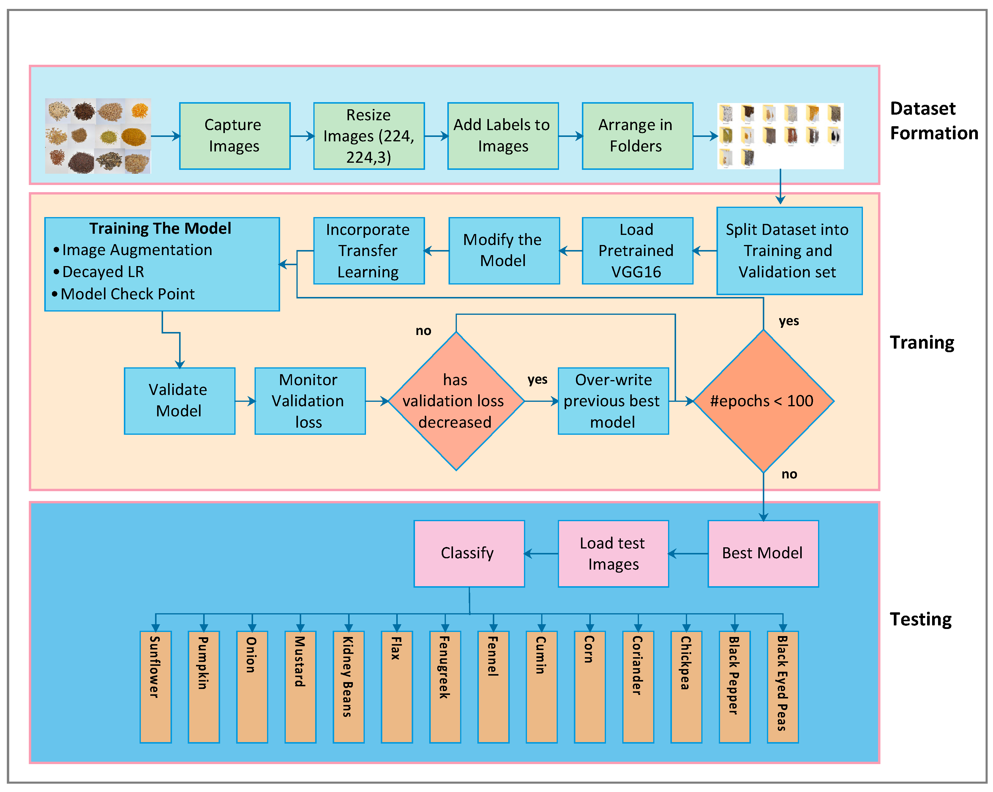 A Convolution Neural Network-Based Seed Classification System