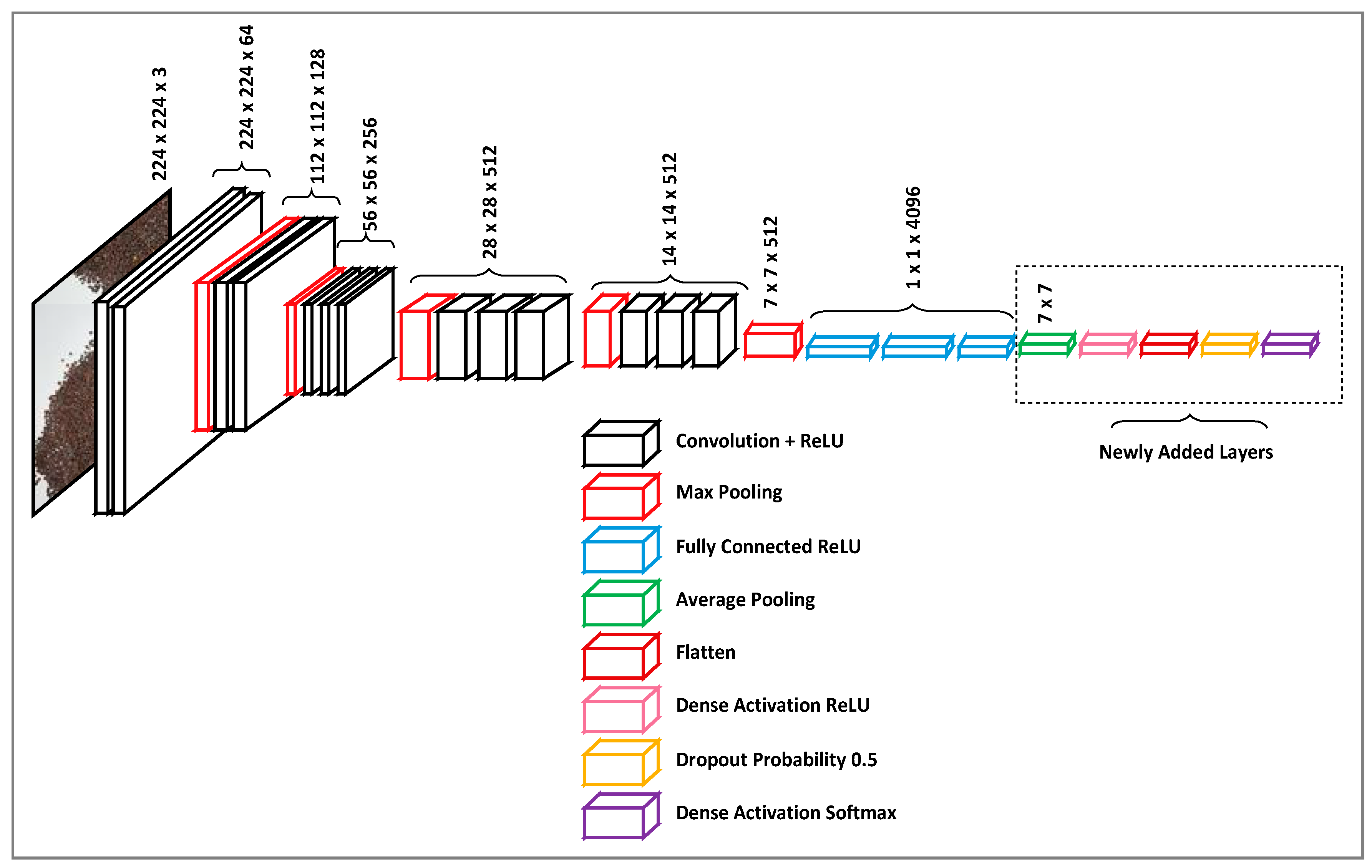 A Convolution Neural Network-Based Seed Classification System