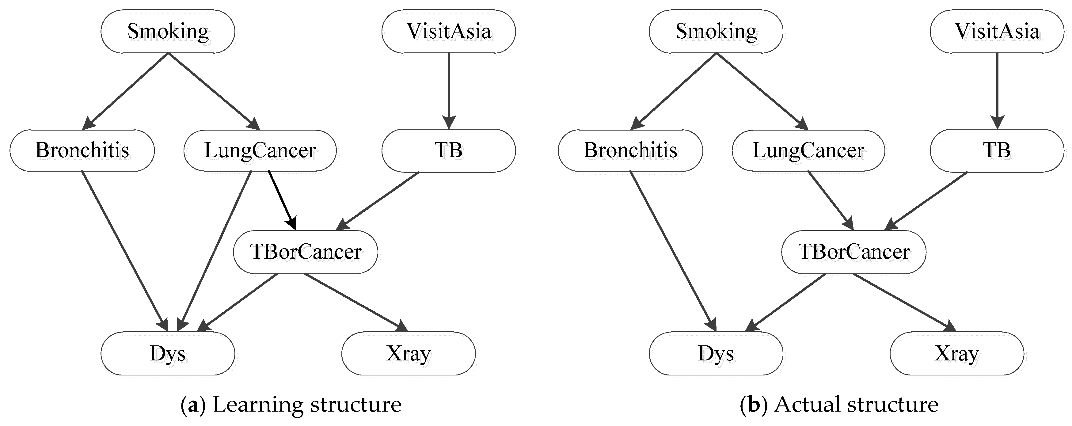 A New Ensemble Learning Algorithm Combined with Causal Analysis for Bayesian Network Structural ...