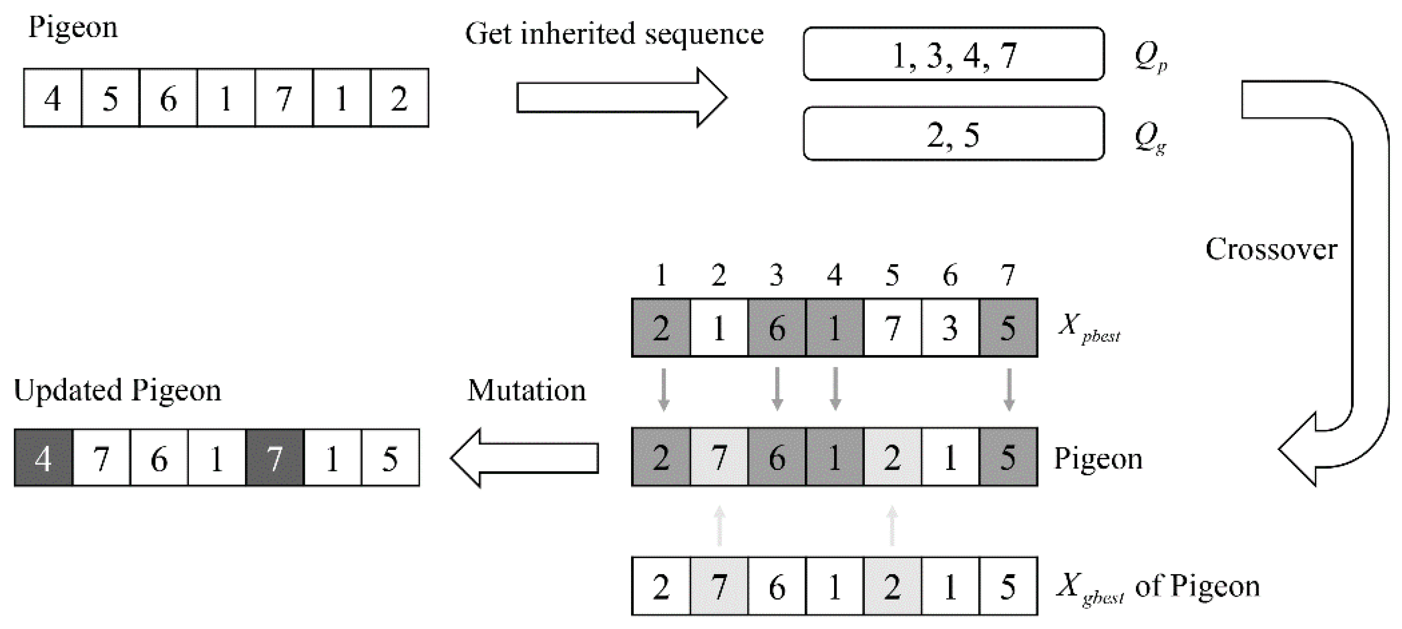 Symmetry | Free Full-Text | MOPIO: A Multi-Objective Pigeon-Inspired ...