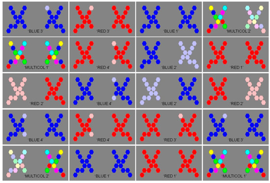 Human Symmetry Uncertainty Detected by a Self-Organizing Neural Network Map