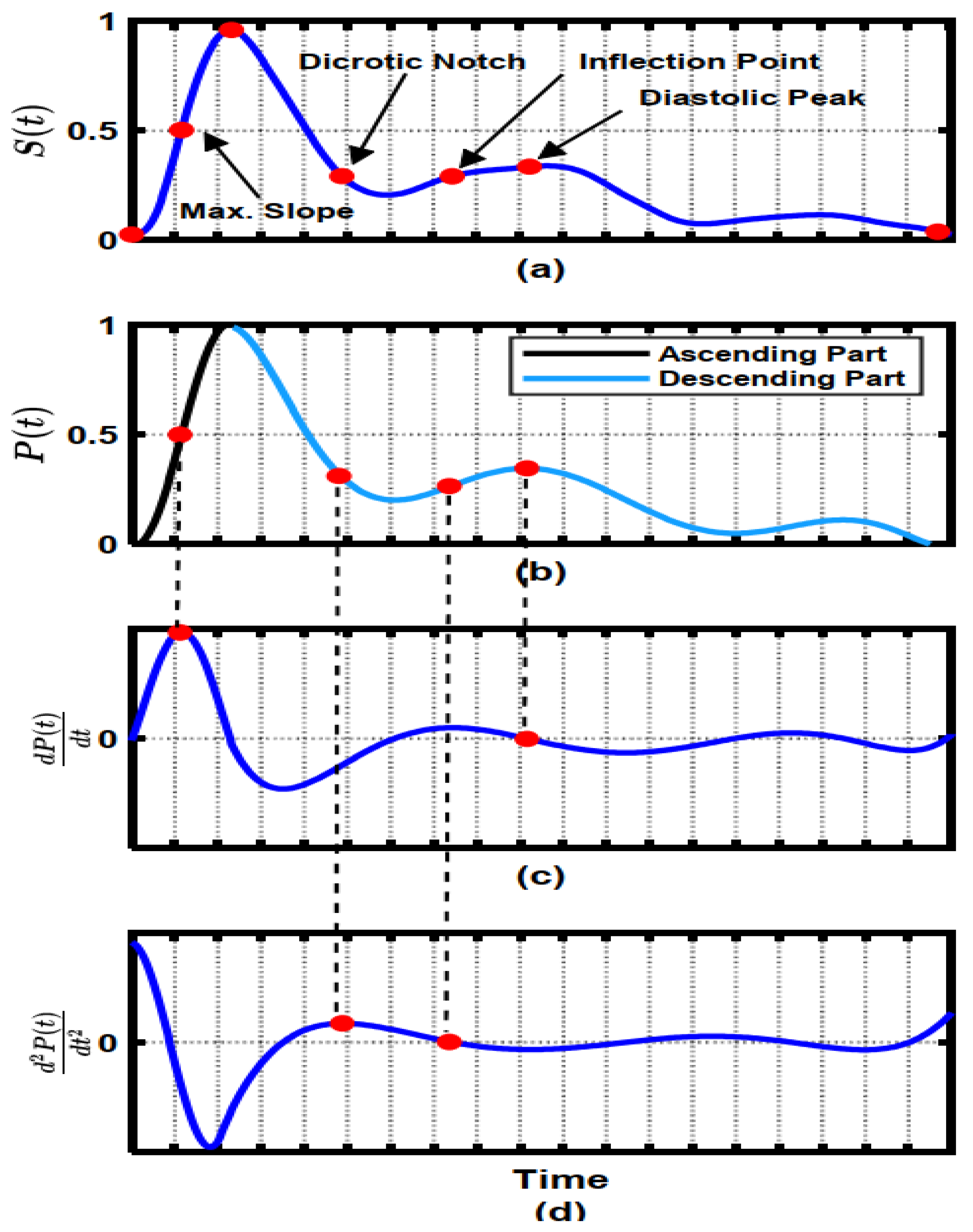 A Continuous Cuffless Blood Pressure Estimation Using Tree-Based ...