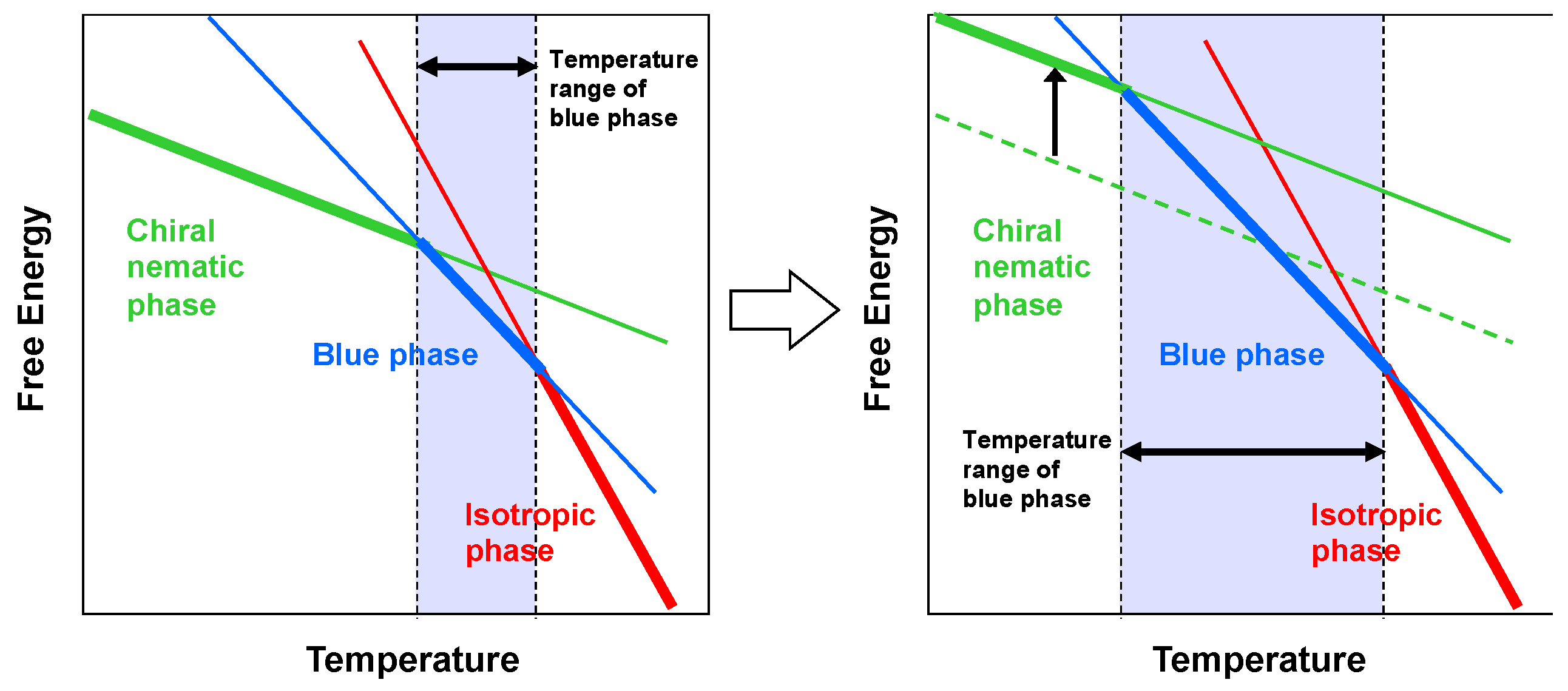 Symmetry | Free Full-Text | Enhancement of Polymer Structural Ordering ...