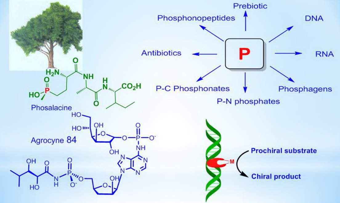 Symmetry | Free Full-Text | Phosphorus Compounds of Natural Origin ...