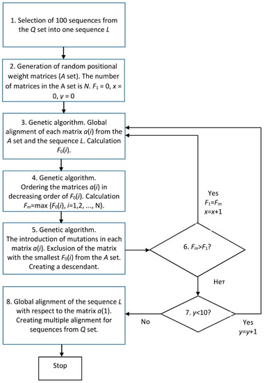 Mathematical Algorithm for Identification of Eukaryotic Promoter Sequences