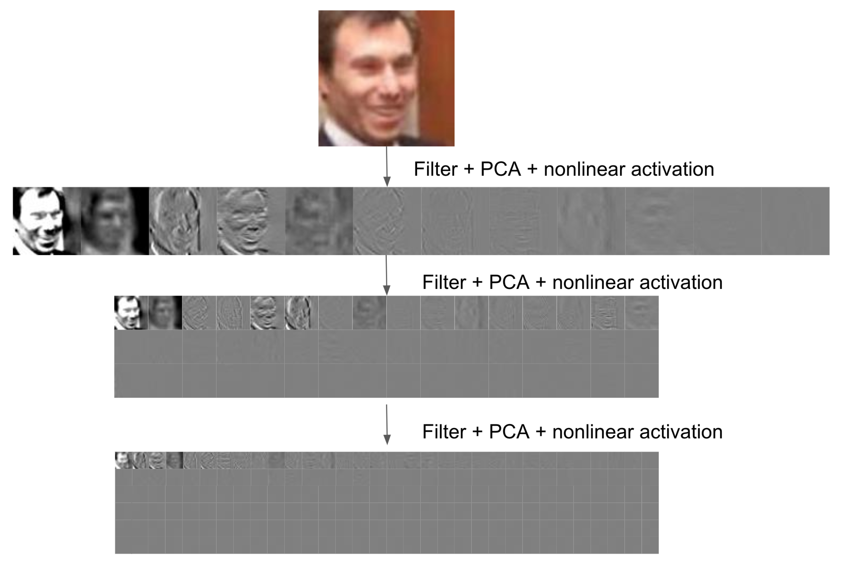 Principal Component Wavelet Networks for Solving Linear Inverse Problems