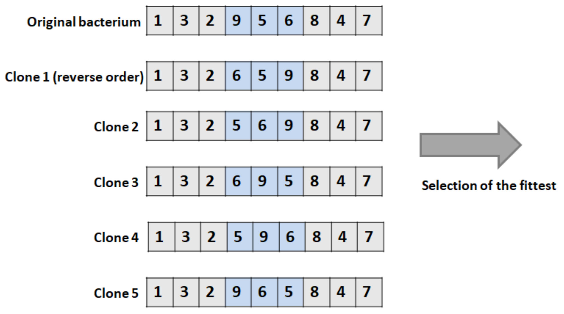 A Hybrid Discrete Bacterial Memetic Algorithm with Simulated Annealing for Optimization of the ...