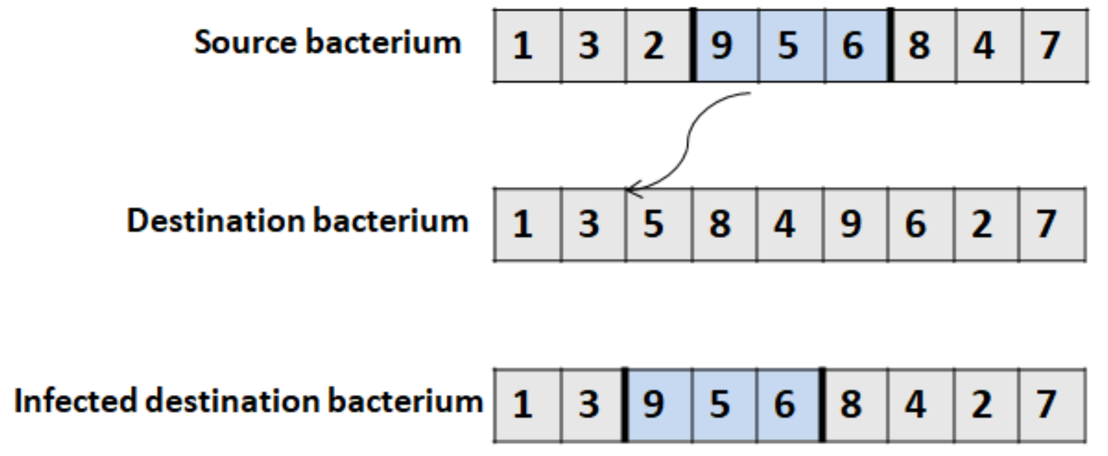 A Hybrid Discrete Bacterial Memetic Algorithm with Simulated Annealing for Optimization of the ...