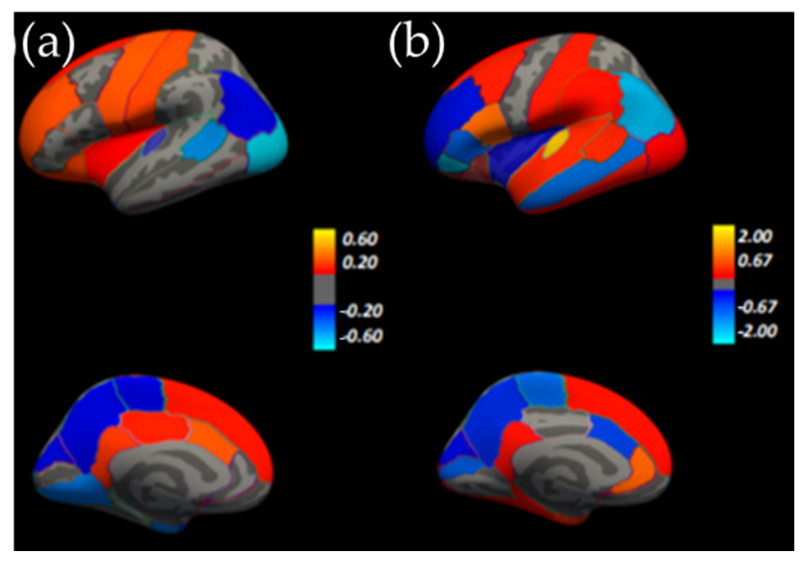 Symmetry of the Human Head—Are Symmetrical Models More Applicable in ...