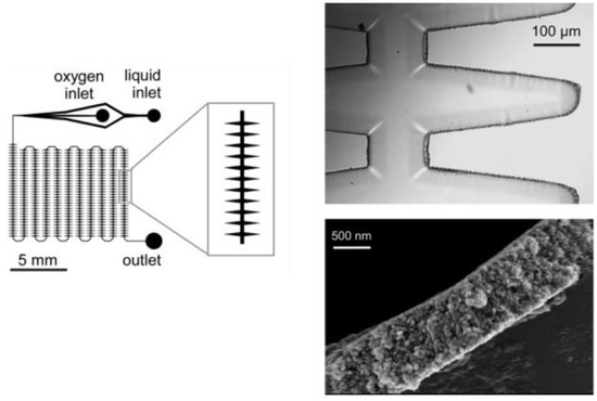 Continuous-Flow Photocatalytic Microfluidic-Reactor for the Treatment of Aqueous Contaminants ...