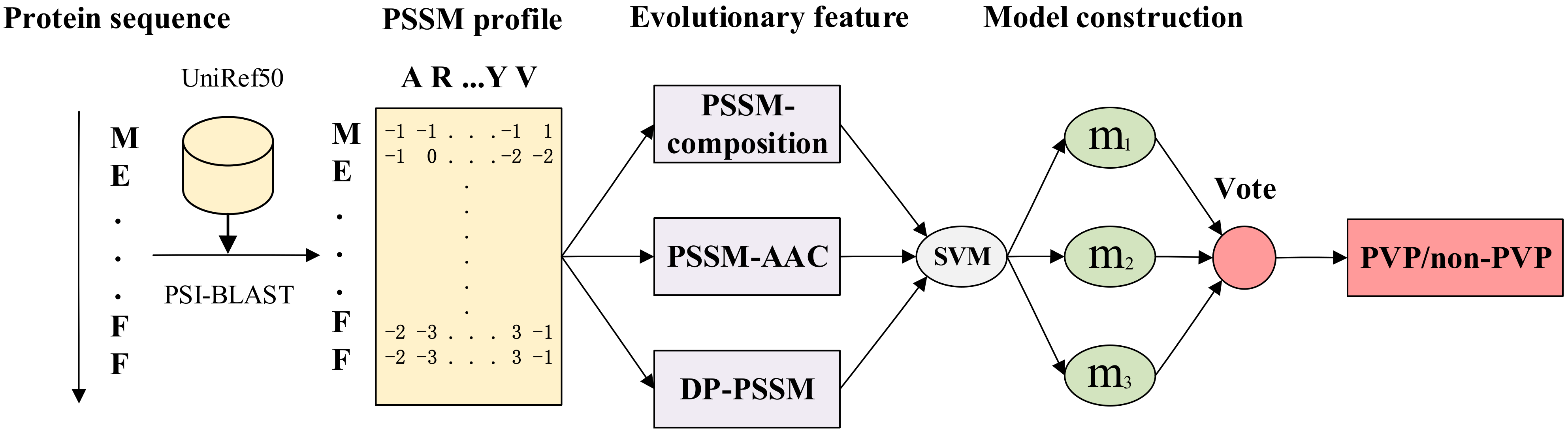 iPVP-MCV: A Multi-Classifier Voting Model for the Accurate Identification of Phage Virion Proteins